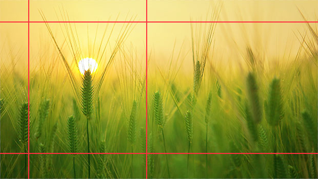 Using Photoshop Guides In InDesign CreativePro Network