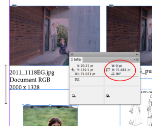 The Ultimate Contact Sheet