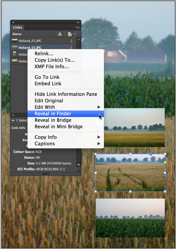 Quick find that graphic… | CreativePro Network