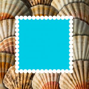 Creating Scalloped Edges in InDesign