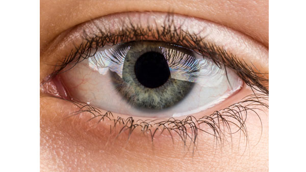 Improve Your Talent for "Eyeballing It" - CreativePro.com