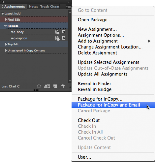 The Remote InCopy User