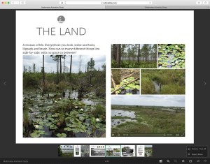 Using Adobe Publish Online