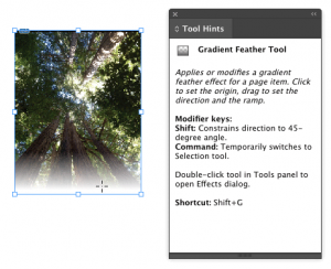 Tip of the Week: Using the Tool Hints Panel