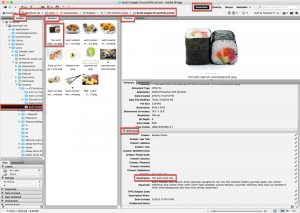 Creating an Interactive Portfolio | CreativePro Network