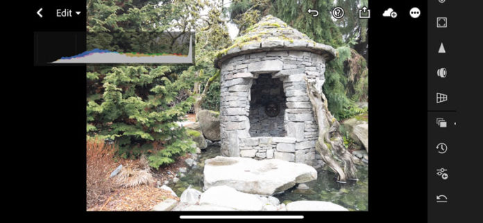 How to Shoot Raw Photos on Your iPhone (and Why You’d Want To)