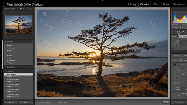 Fixing Dust and Artifacts in Lightroom - CreativePro.com