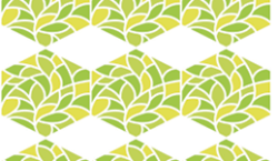 Pattern Making in Adobe Illustrator | CreativePro Network