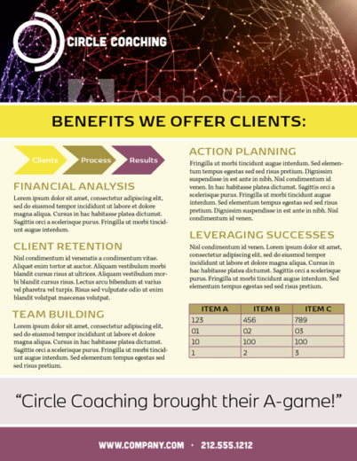 InDesign Template: Company Data Sheet | CreativePro Network