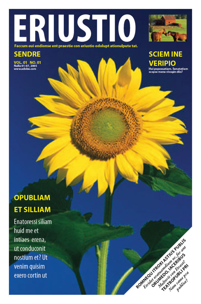 InDesign Community Newspaper Templates | CreativePro Network