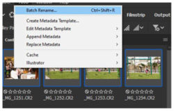 Batch Rename Files in Adobe Bridge