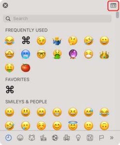 Using the Character Viewer on macOS | CreativePro Network