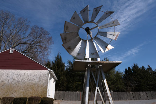 Five Affordable Wide-angle Lenses for Mirrorless Camera Systems