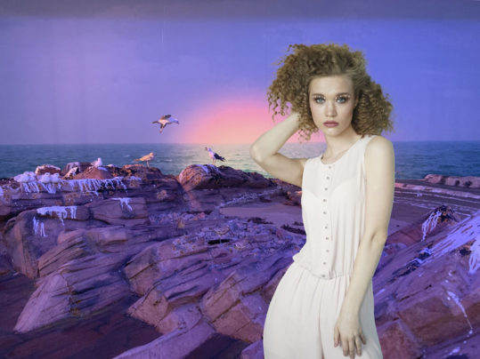 How to Use Photoshop’s Harmonization Filter