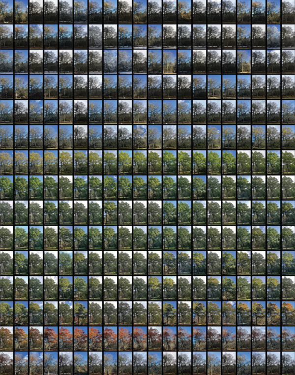 InDesign How-to: Change the Date Format in Captions