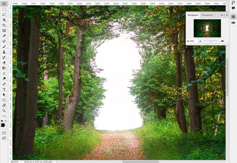 10 Photoshop Efficiency Tips from CreativePro Week | CreativePro Network