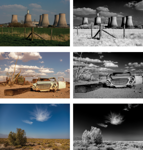 A Different Light: An Introduction to Infrared Photography