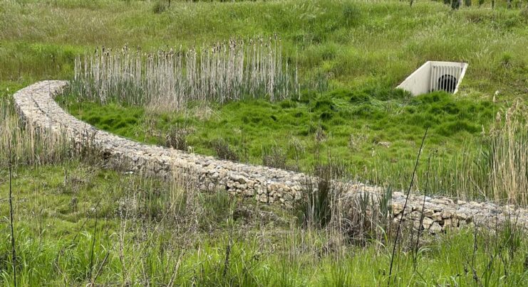 Using Generative Fill in Photoshop | CreativePro Network