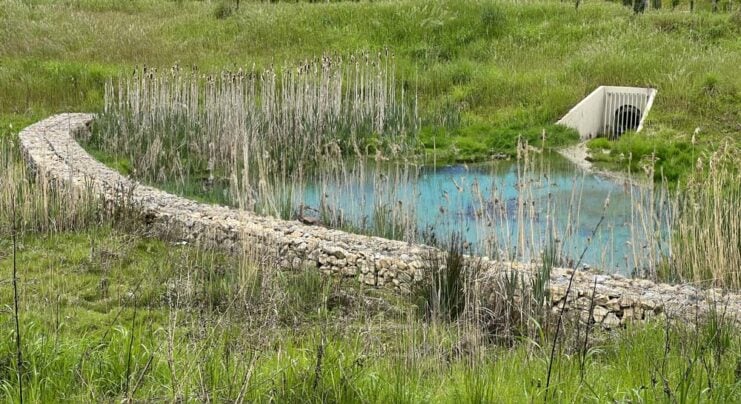 Using Generative Fill in Photoshop | CreativePro Network