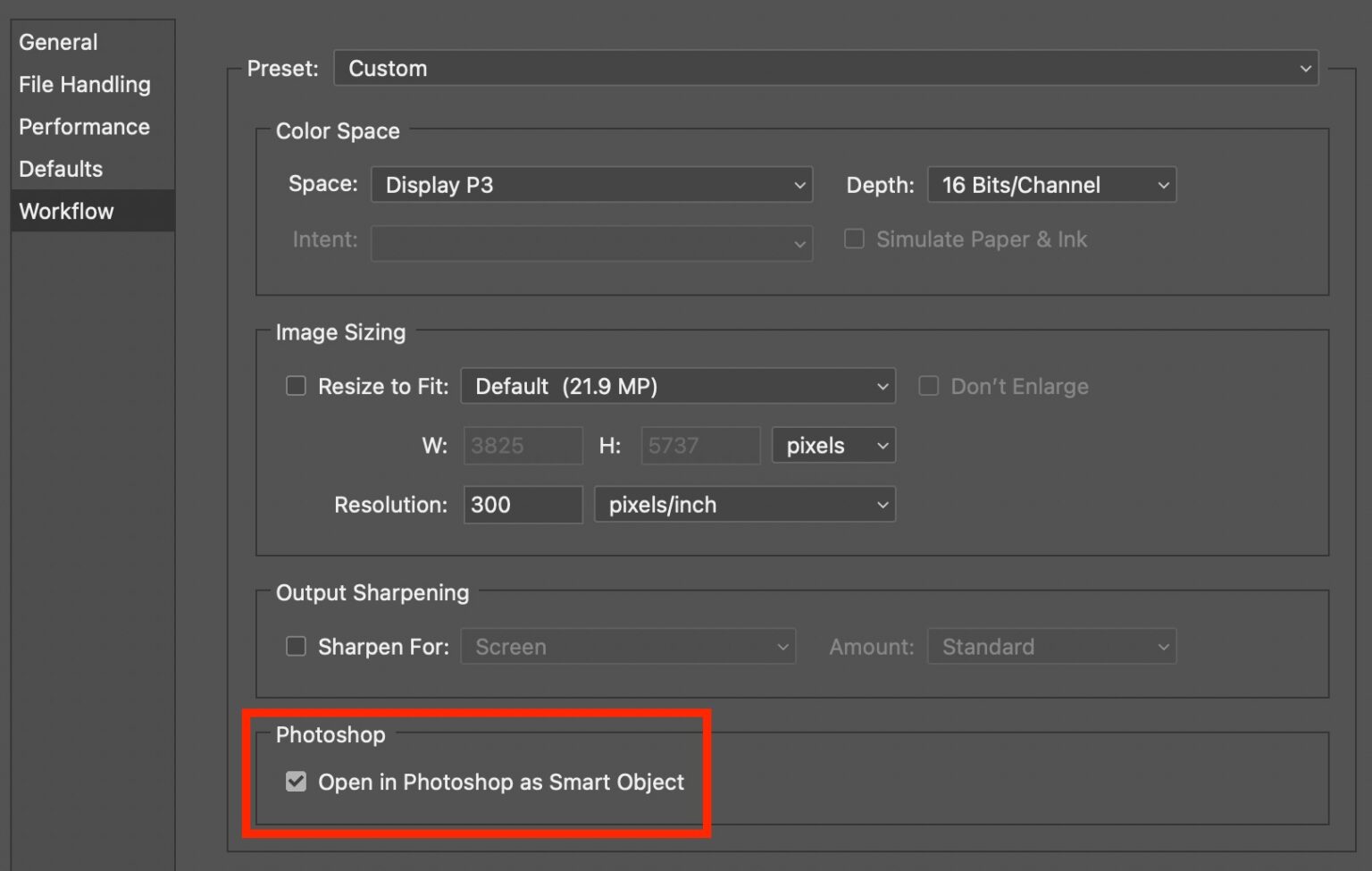 10 MORE Essential Tips for Adobe Camera Raw