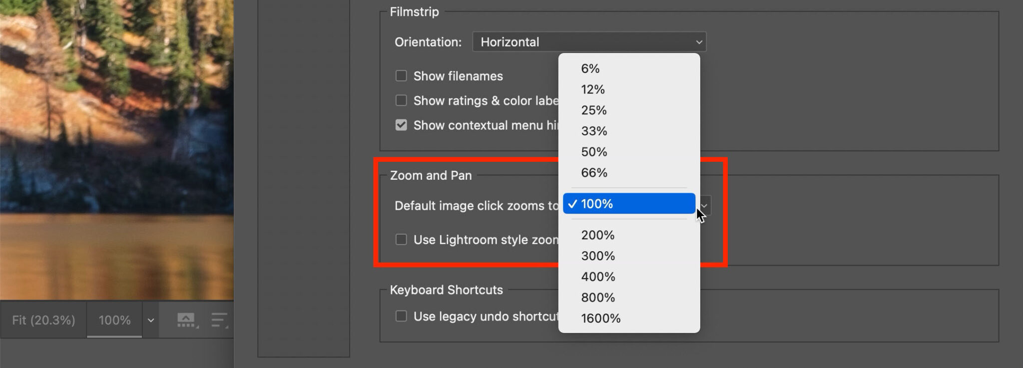 10 MORE Essential Tips for Adobe Camera Raw