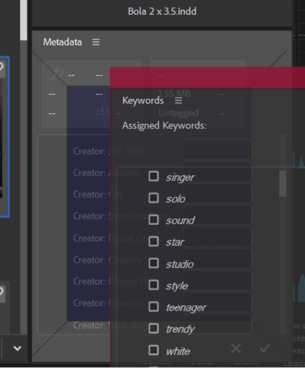 Adobe Bridge Gets a Major Upgrade
