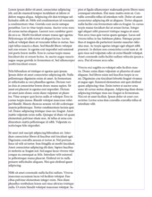 How to Create Columns in InDesign