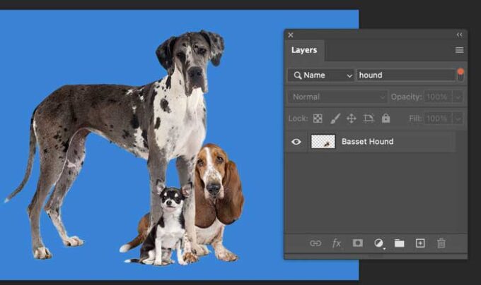 8 Great Tips from CreativePro Week 2024 | CreativePro Network