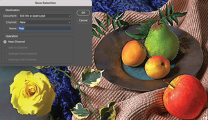 Saving Selections with Channels in Photoshop