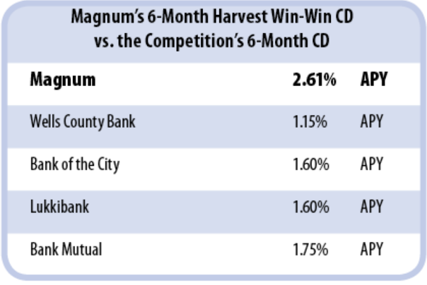 Creative Table Design in InDesign