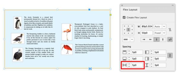 Getting Started with Flex Layout in InDesign