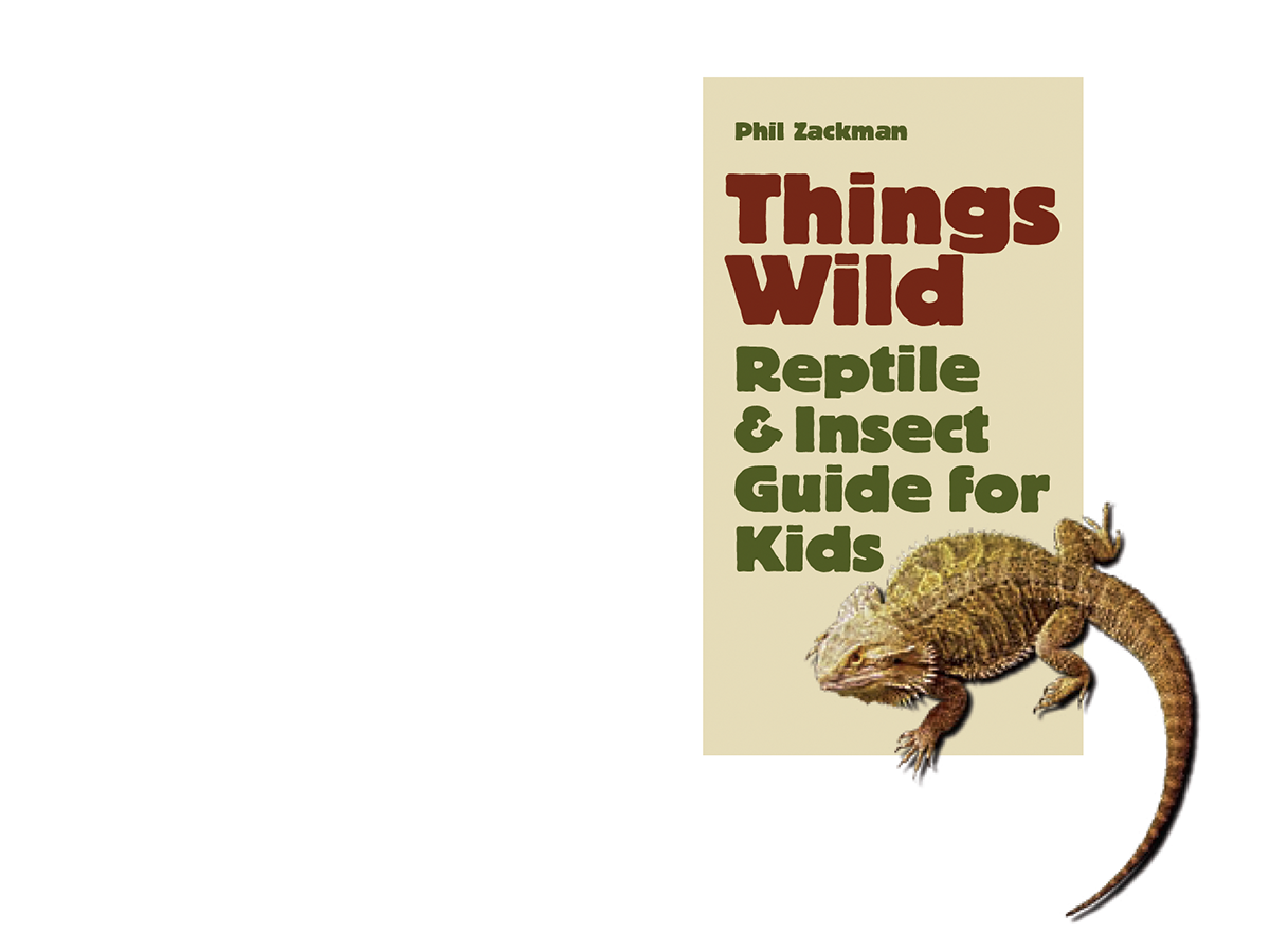 Before&After Design Tip: Condense Your Design