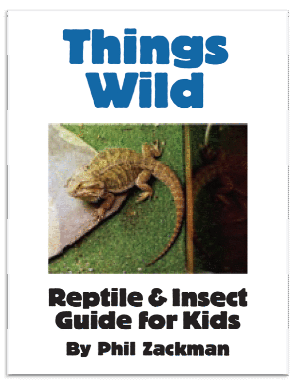 Before&After Design Tip: Condense Your Design