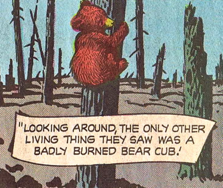 Scanning Around With Gene: The True Story of Smokey Bear | CreativePro ...