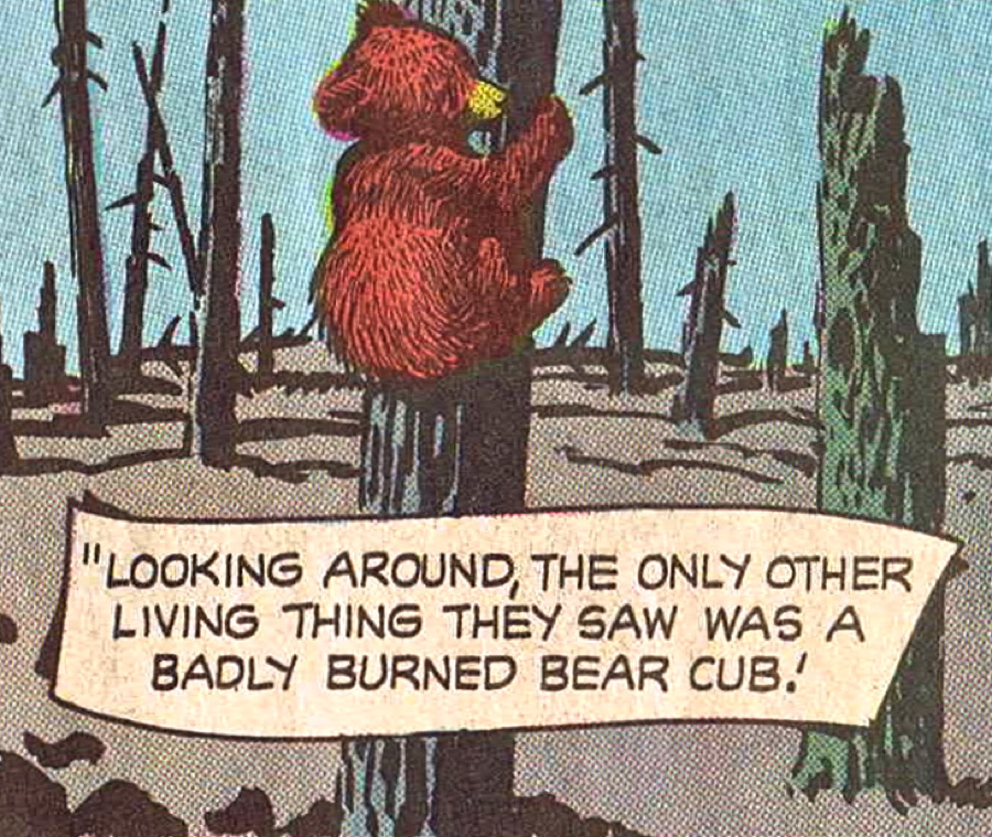 Scanning Around With Gene: The True Story of Smokey Bear | CreativePro ...